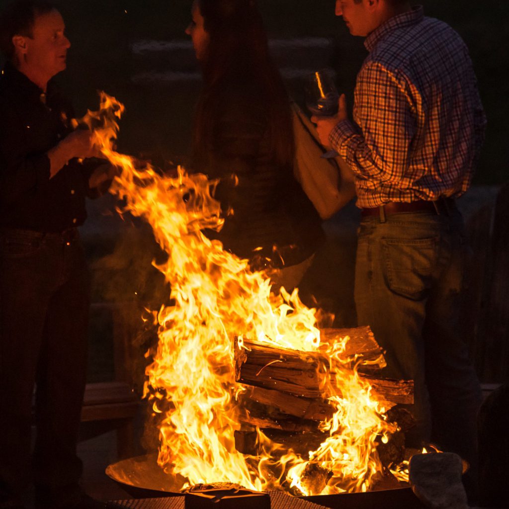 Whiskey Wine and Wildlife